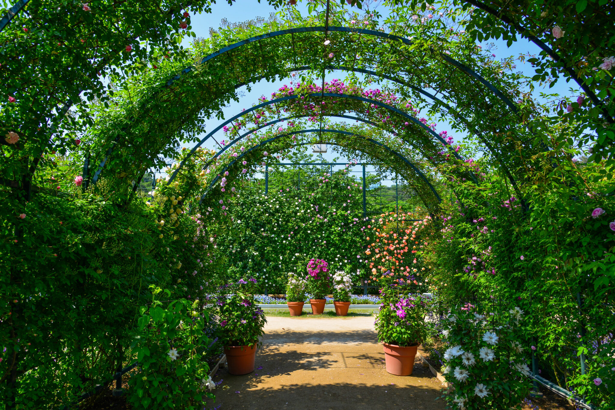 Long Garden Design Ideas: Transform Your Elongated Plot in 2025 - Heart ...