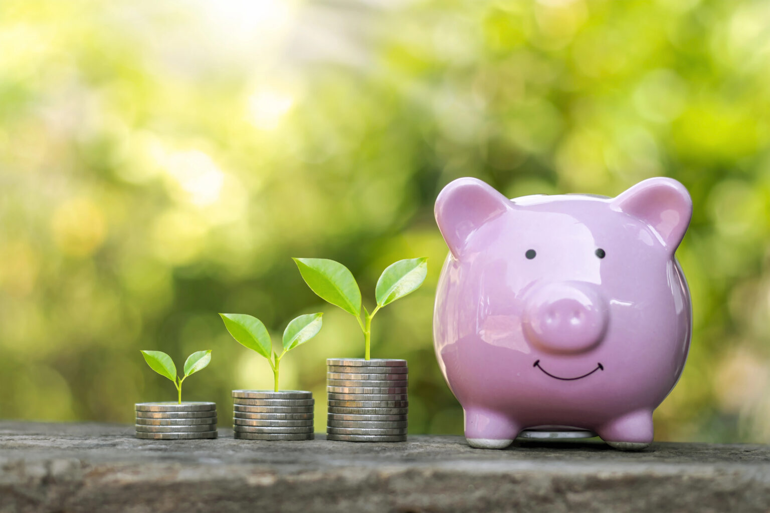 Eco-Friendly Lifestyle Tips: Simple Ways to Live Sustainably - Heart ...